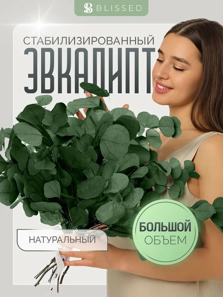 Сухоцветы Эвкалипт, 55 см, 150 гр