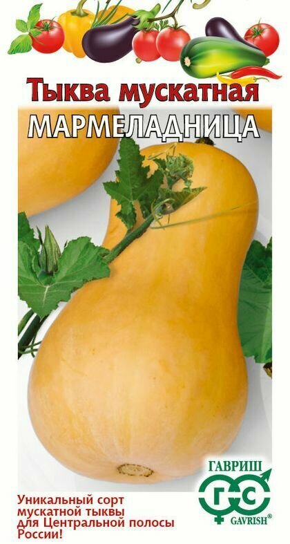 Семена растения тыква мармеладница