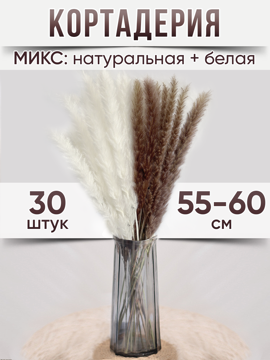 Сухоцветы Пампасная трава для декора Кортадерия микс 30 шт
