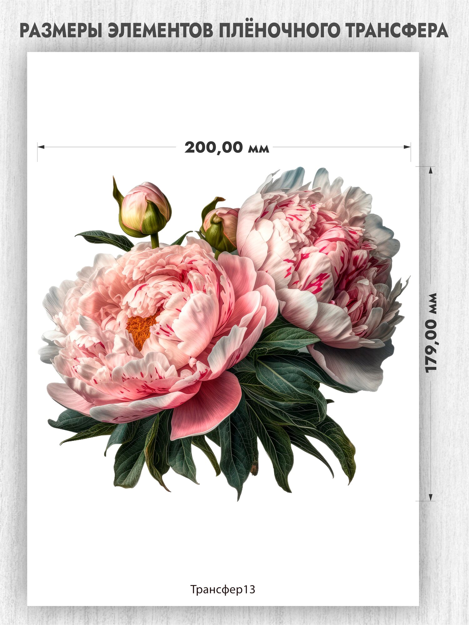 Трансфер для декупажа переводной рисунок для поверхностей пион 13 (А4)