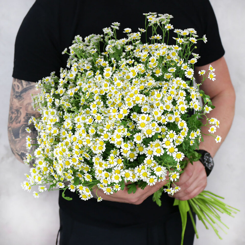 Букет Букет Маркет "Ромашка", монобукет, высота 40 см, 25 цветков
