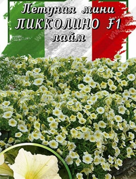 Петуния мини Пикколино F1 лайм