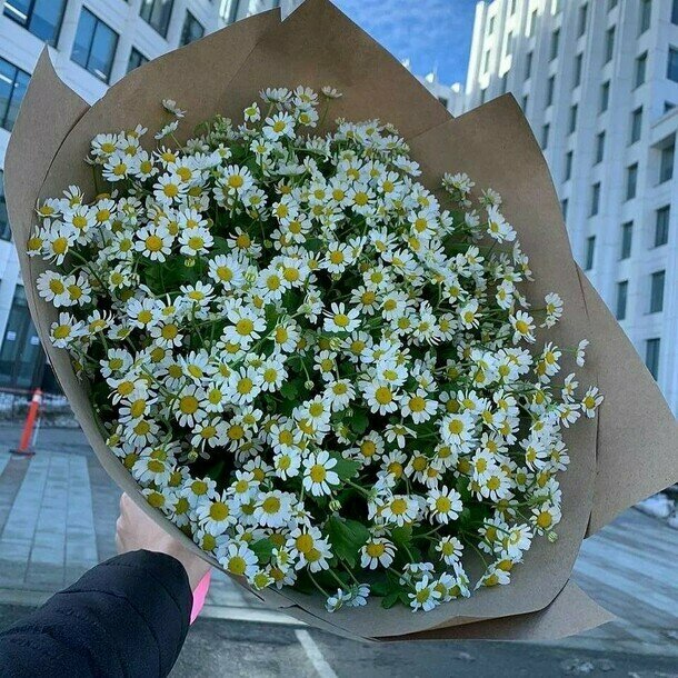 Букет Well Flowers, круглый, 25 цветов, высота 50 см, букет свежих цветов