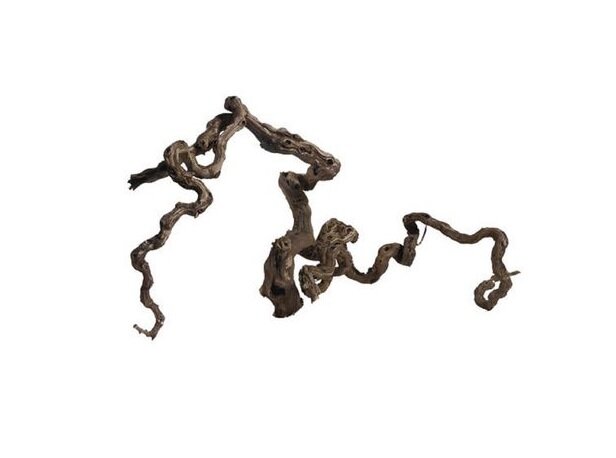 Коряга комель виноградной лозы