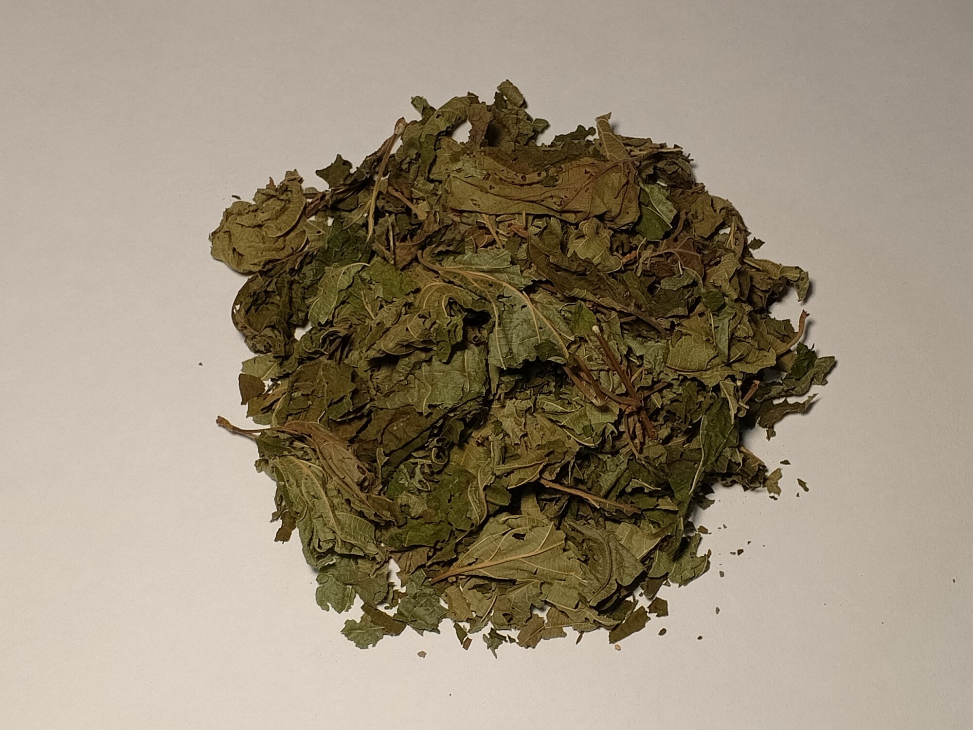 Лещина (лист)