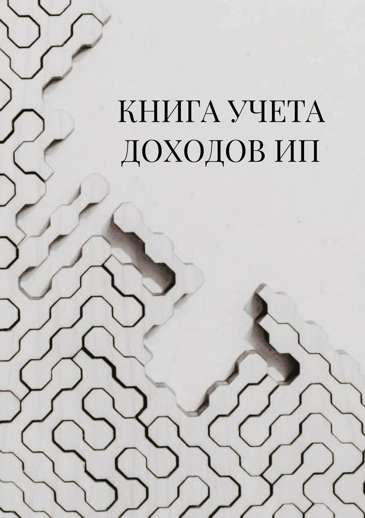 Книга учета доходов для ИП на патенте