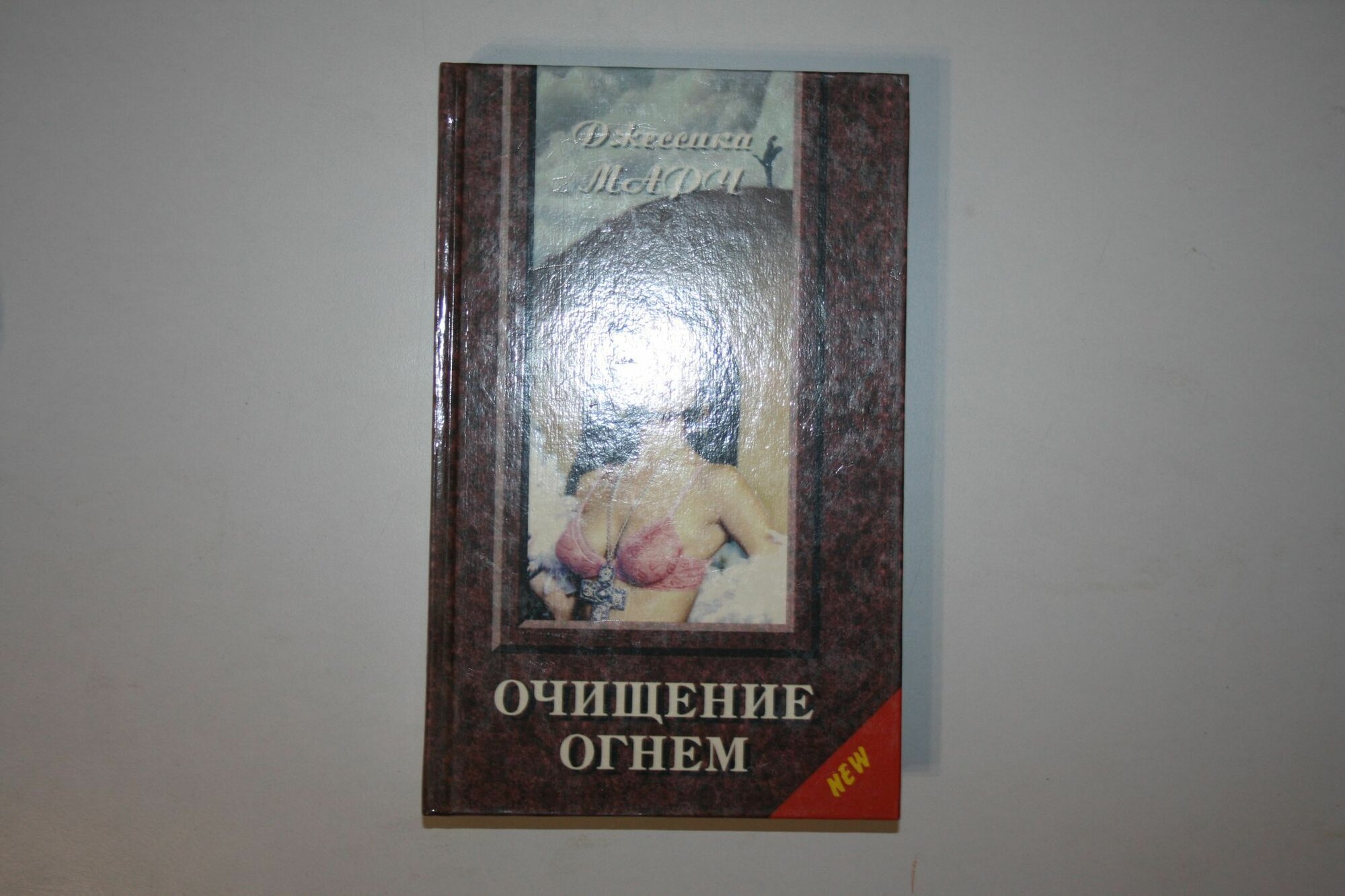 Очищение огнем. Роман