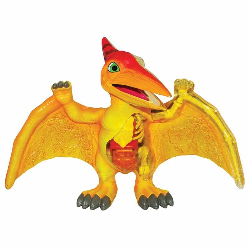 Модель анатомии динозавр/Развивающая игрушка