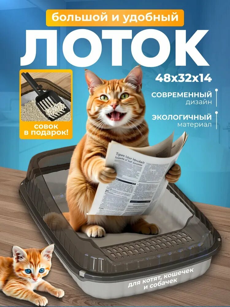 Лоток для кошек с бортом