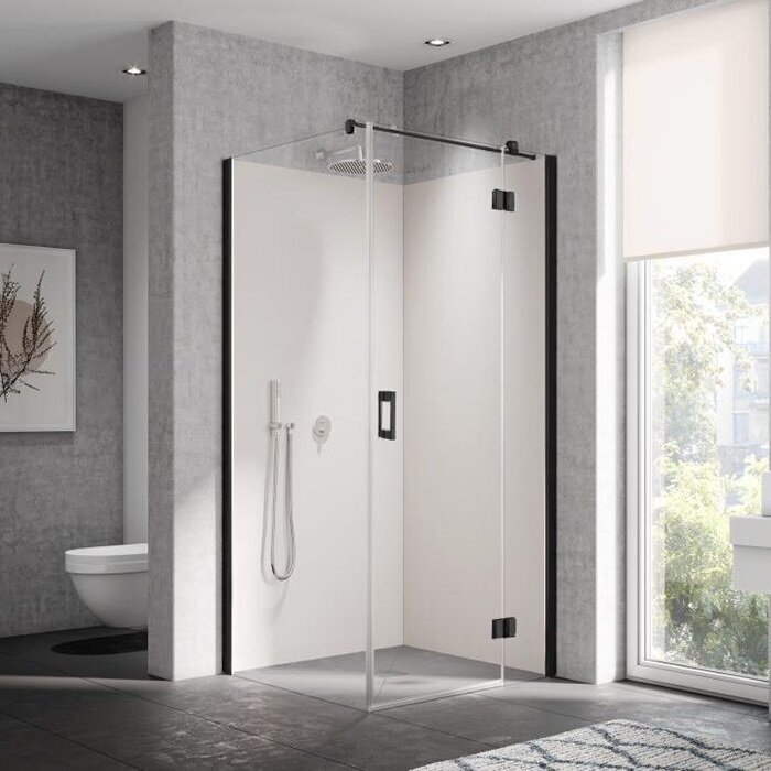 Душевая дверь Kermi Liga LI SNR 09020 3PK 900x2000 черный/стекло прозрачное