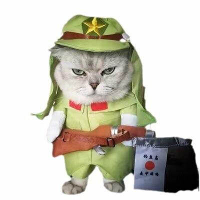 Ролевые игры для кошек и собак, смешные костюмы