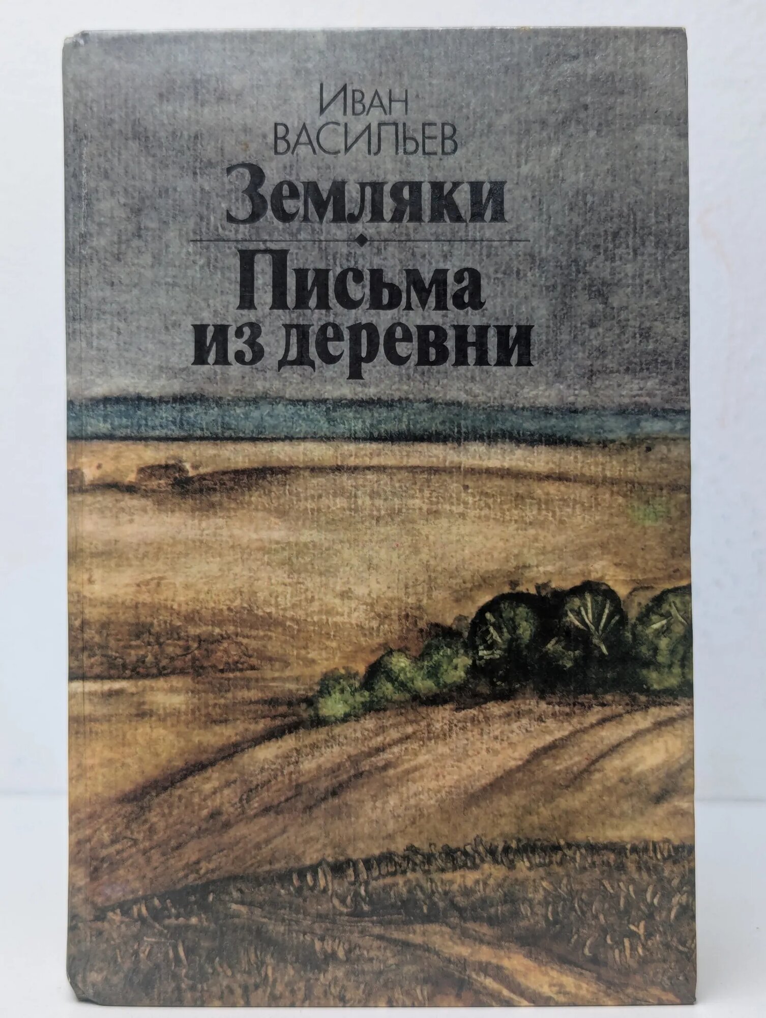 Земляки. Письма из деревни Васильев Иван Афанасьевич 1985