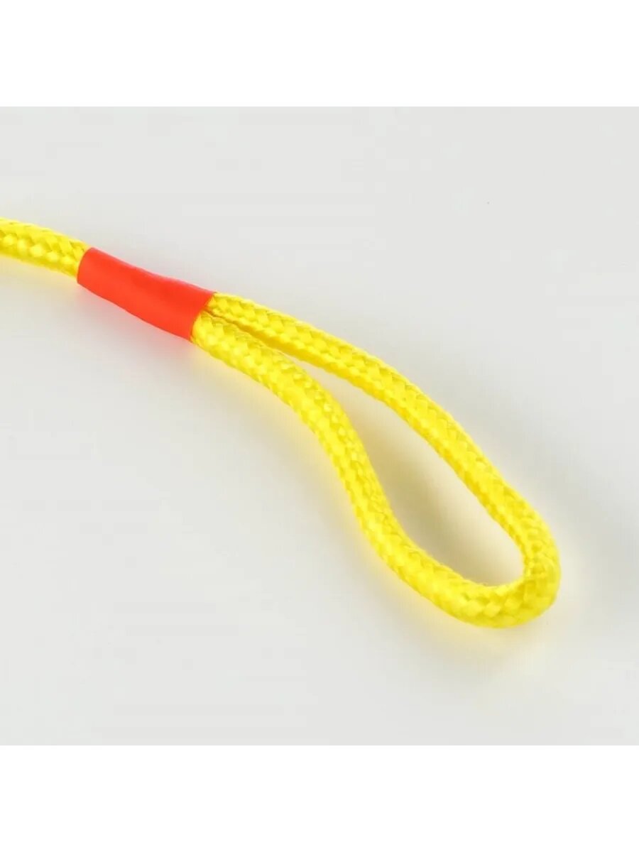 Безопасный мяч на веревке для собак