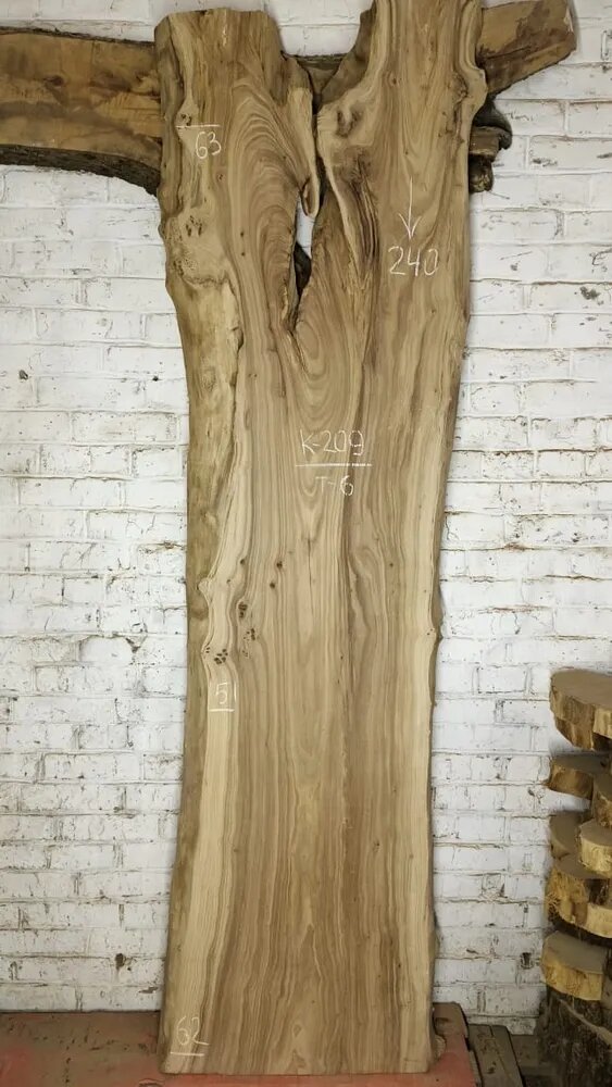 Слэб дерева Карагач К209, выровнен в плоскости, влажность 8-10%