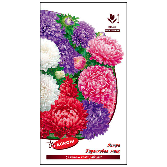 Семена астра карликовая микс агрони 0,3 г - яркая смесь кустовых цветов для клумб
