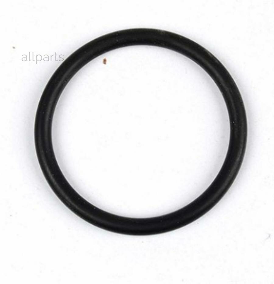 BSG AUTO PARTS BSG30-230-042 Кольцо уплотнительное корпуса термостата