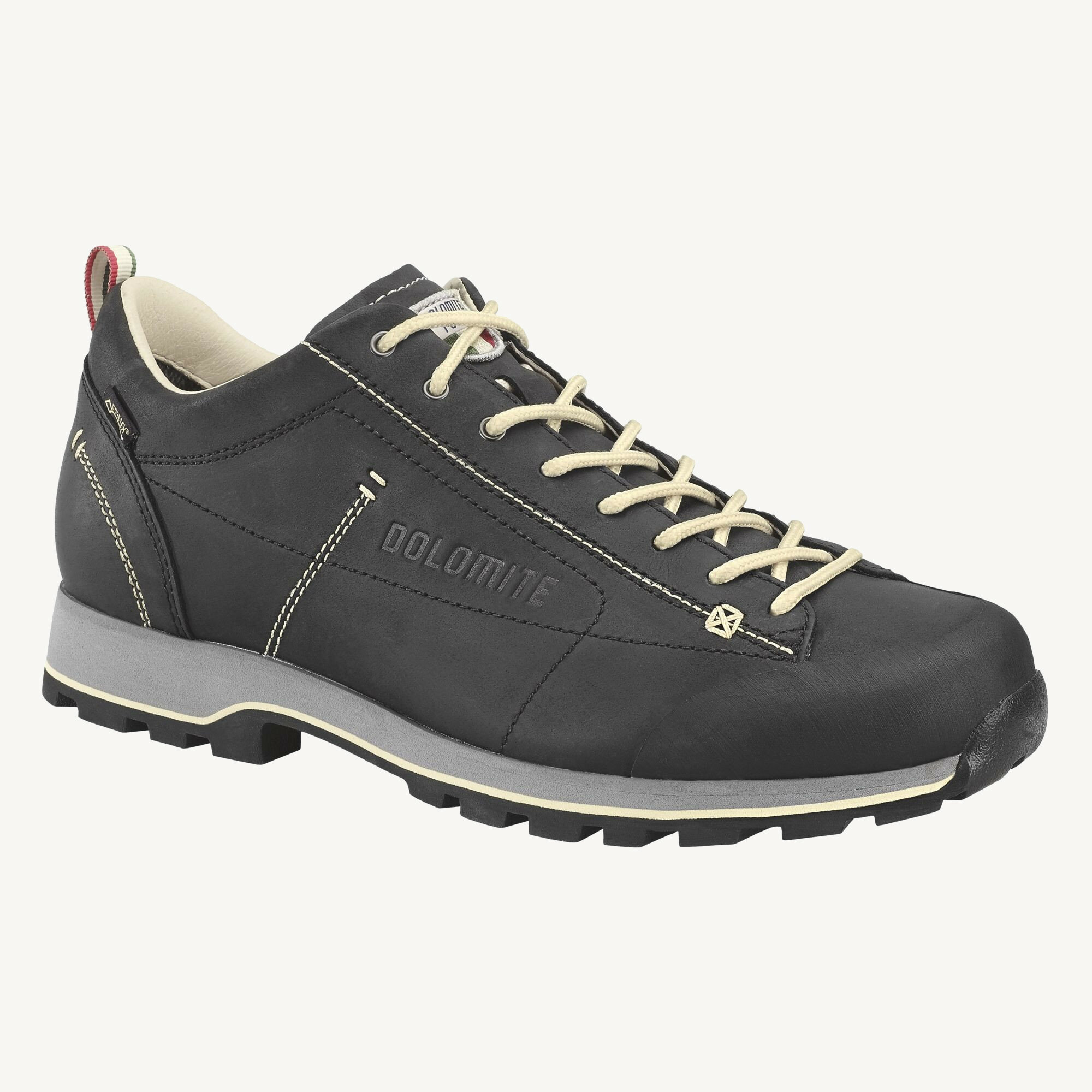 Ботинки 54 Low Fg GTX M's