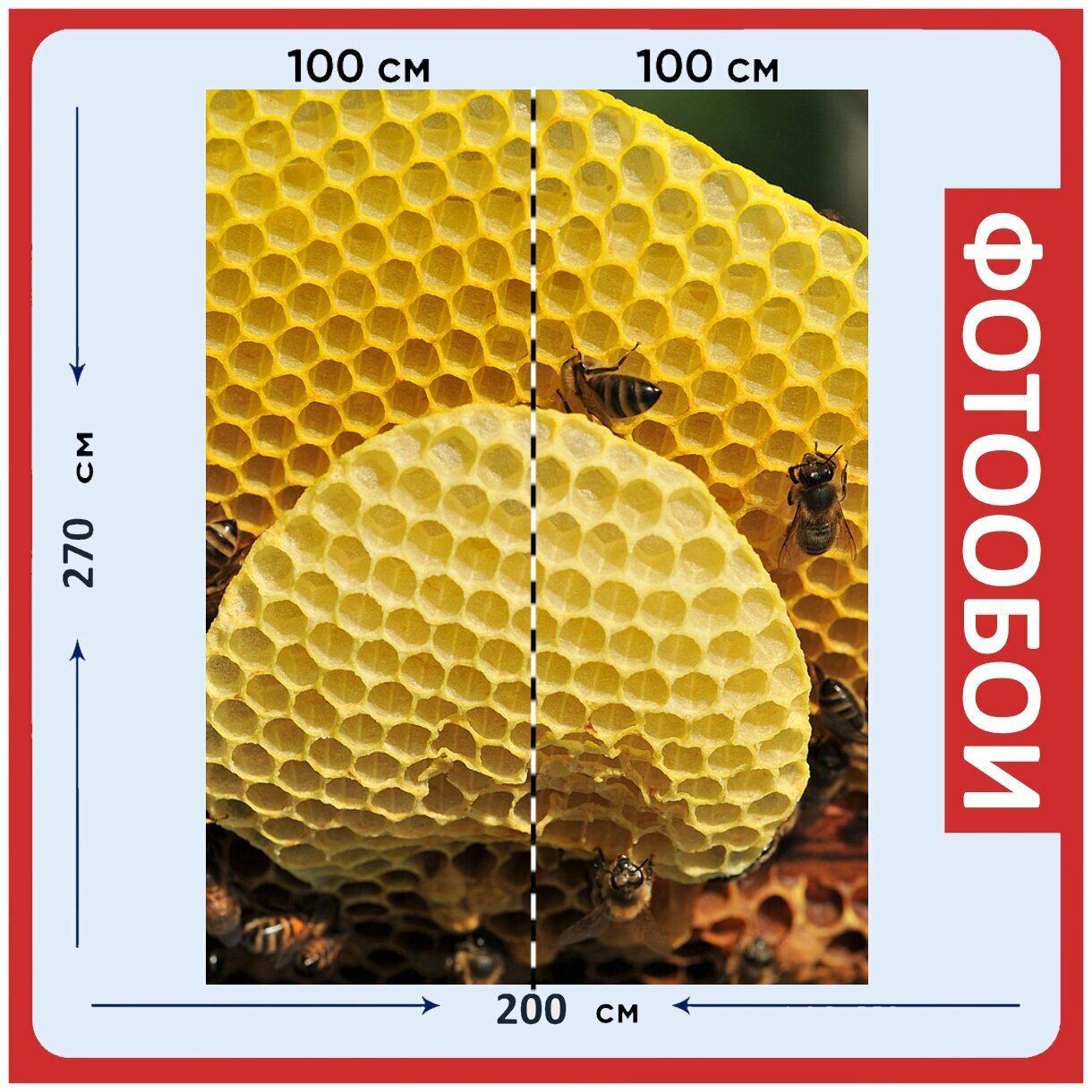 Фотообои "Пчела, мед, пыльца" 200x270 см. флизелиновыена стену