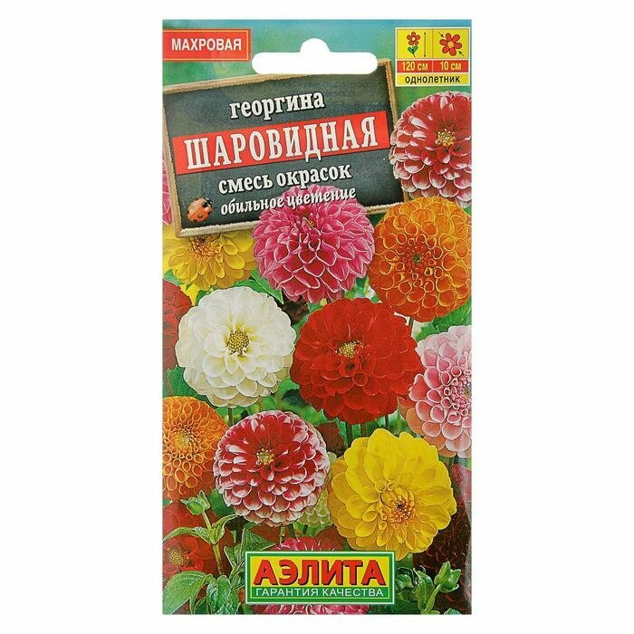 Семена цветов Георгина "Шаровидная", смесь окрасок, О, 0,2 г ( 1 упаковка )