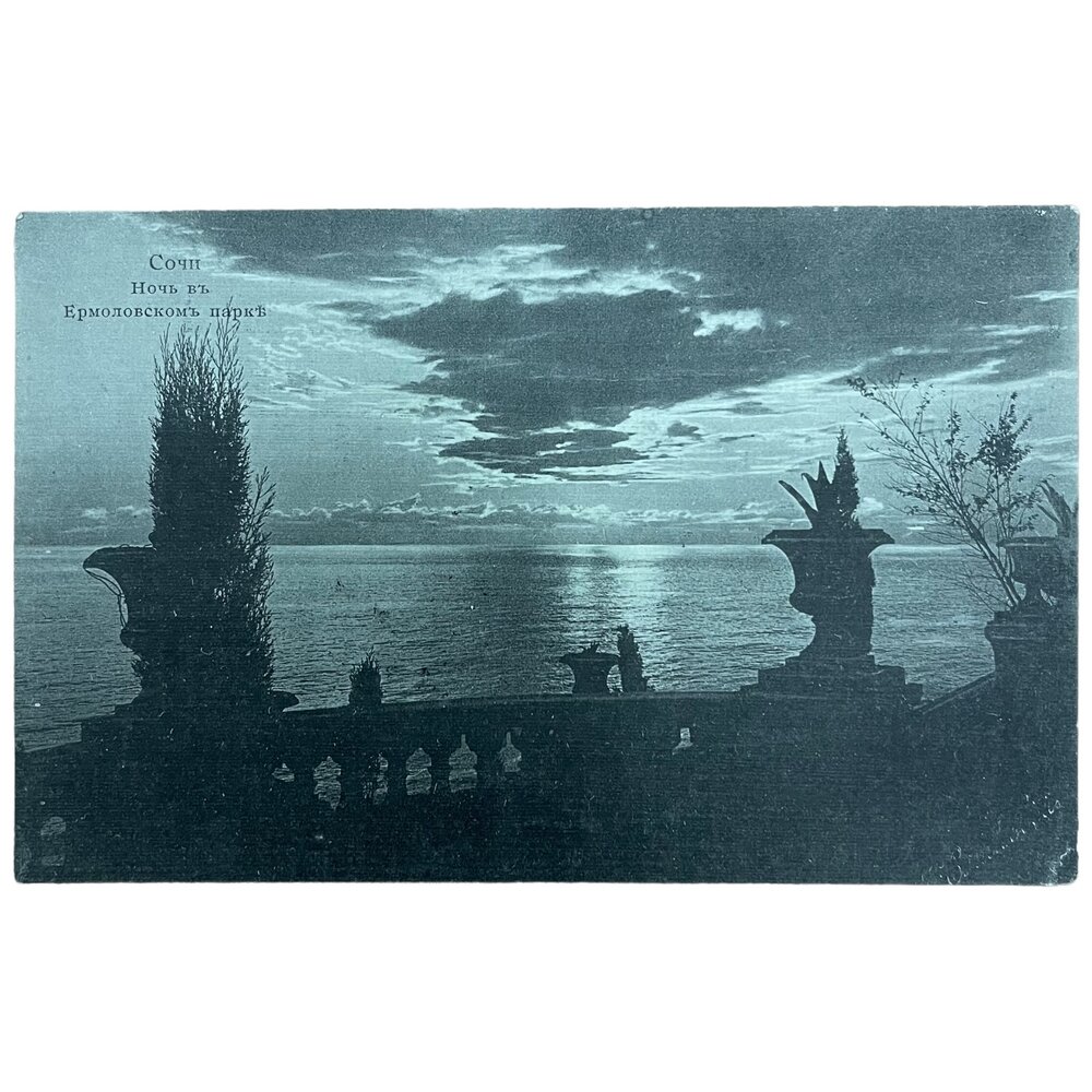 Почтовая открытка "Сочи. Ночь в Ермоловском парке" 1900-1914 гг. Российская Империя