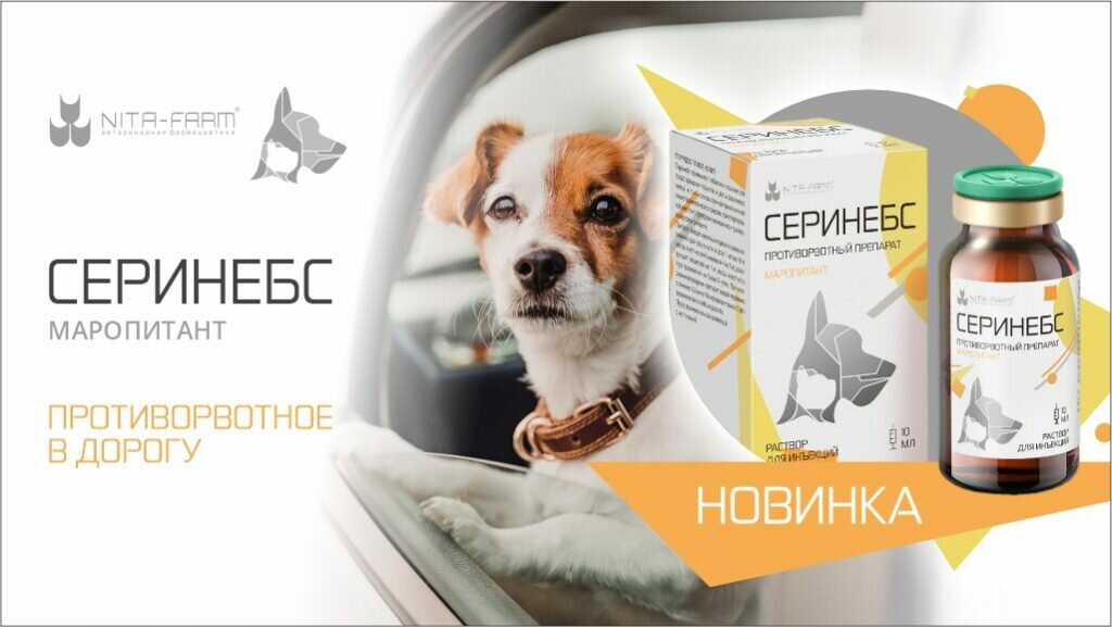 NITA-FARM Серинебс 10 мл для животных, для предотвращения рвоты различного генеза у животных