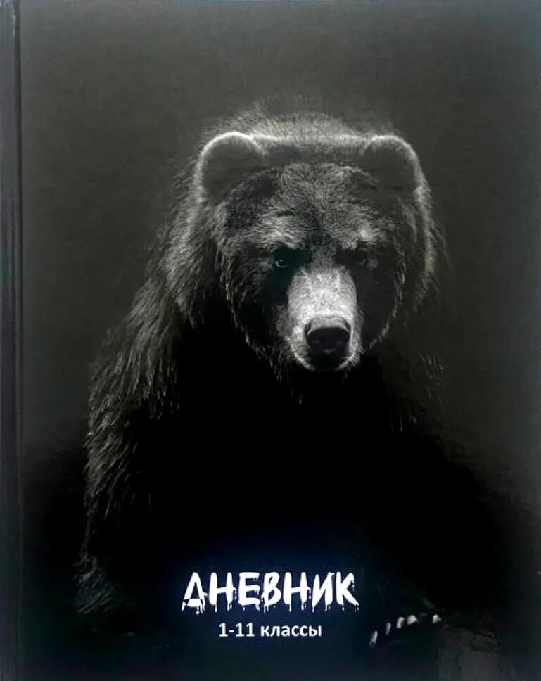 Школьный дневник ASMAR, справочная информация, твердая обложка