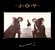 JOY Joy