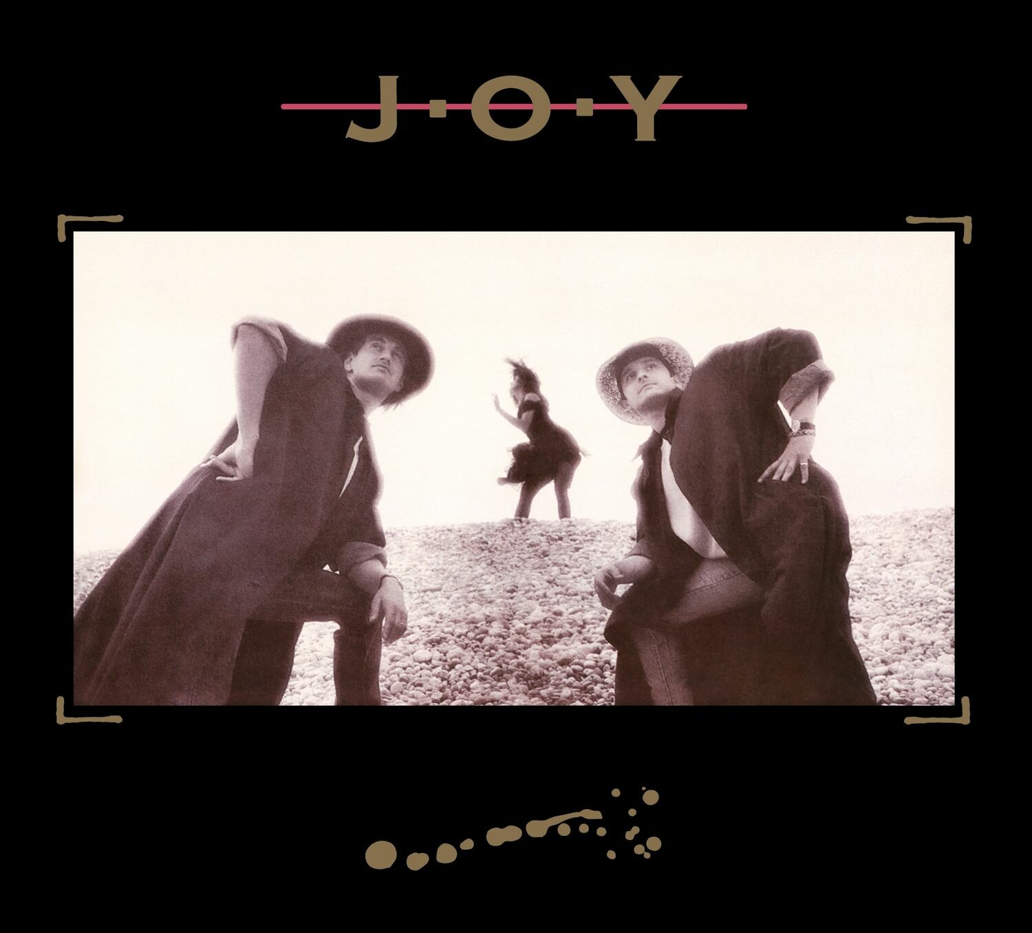 JOY Joy