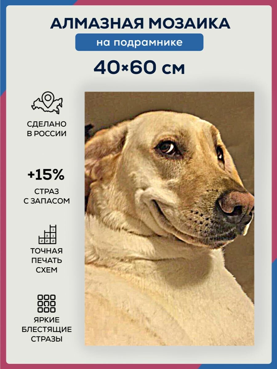 Алмазная мозаика 40x60 Собака-улыбака на подрамнике