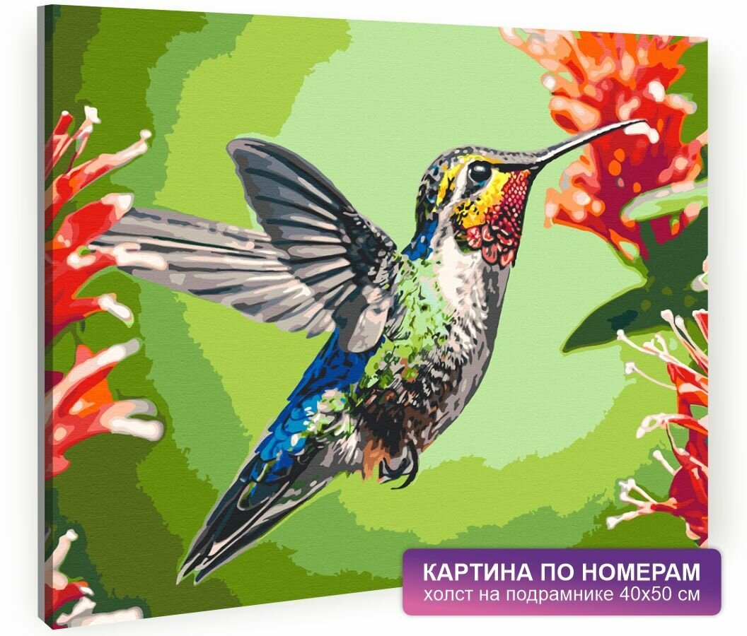 Картина по номерам на холсте с подрамником 40х50 см. Природа, животные, рыбы, птицы. "Колибри", арт. 5136/