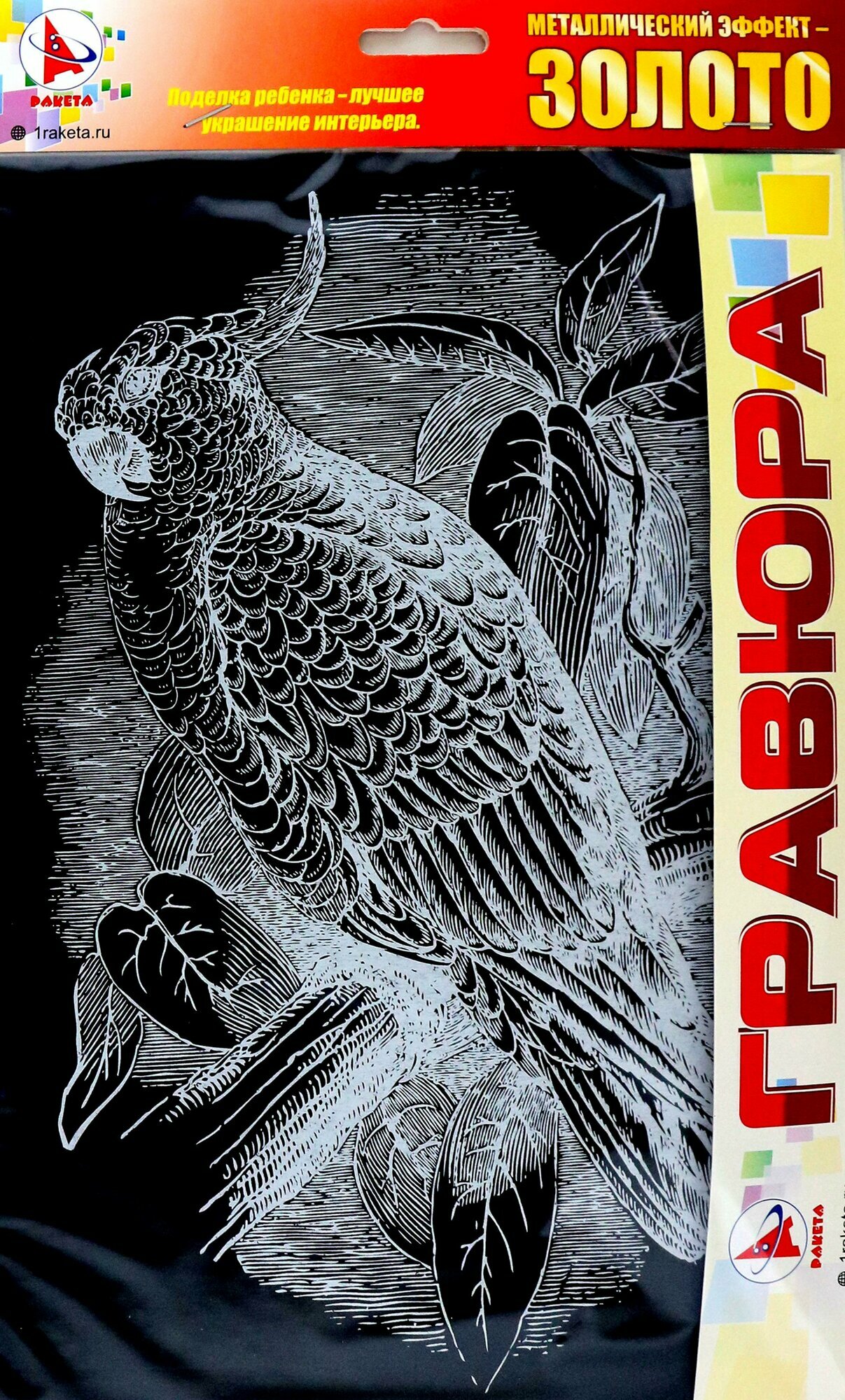 Гравюра Попугай, золото