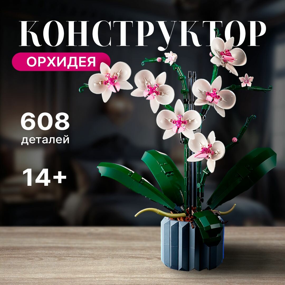 Конструктор пластиковый