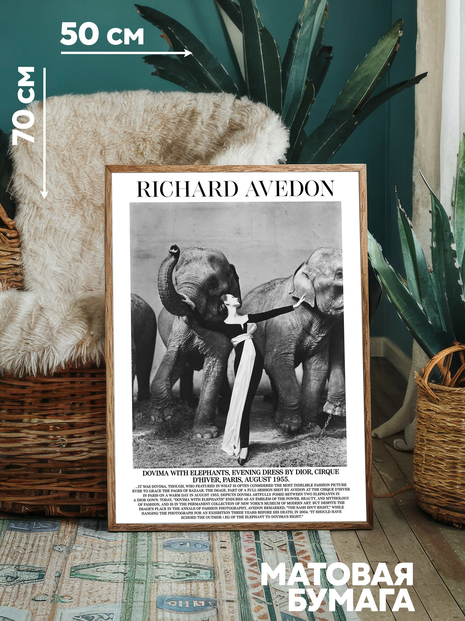 Постер репродукция фотографии Ричард Аведон "Довима со слонами" 50х70