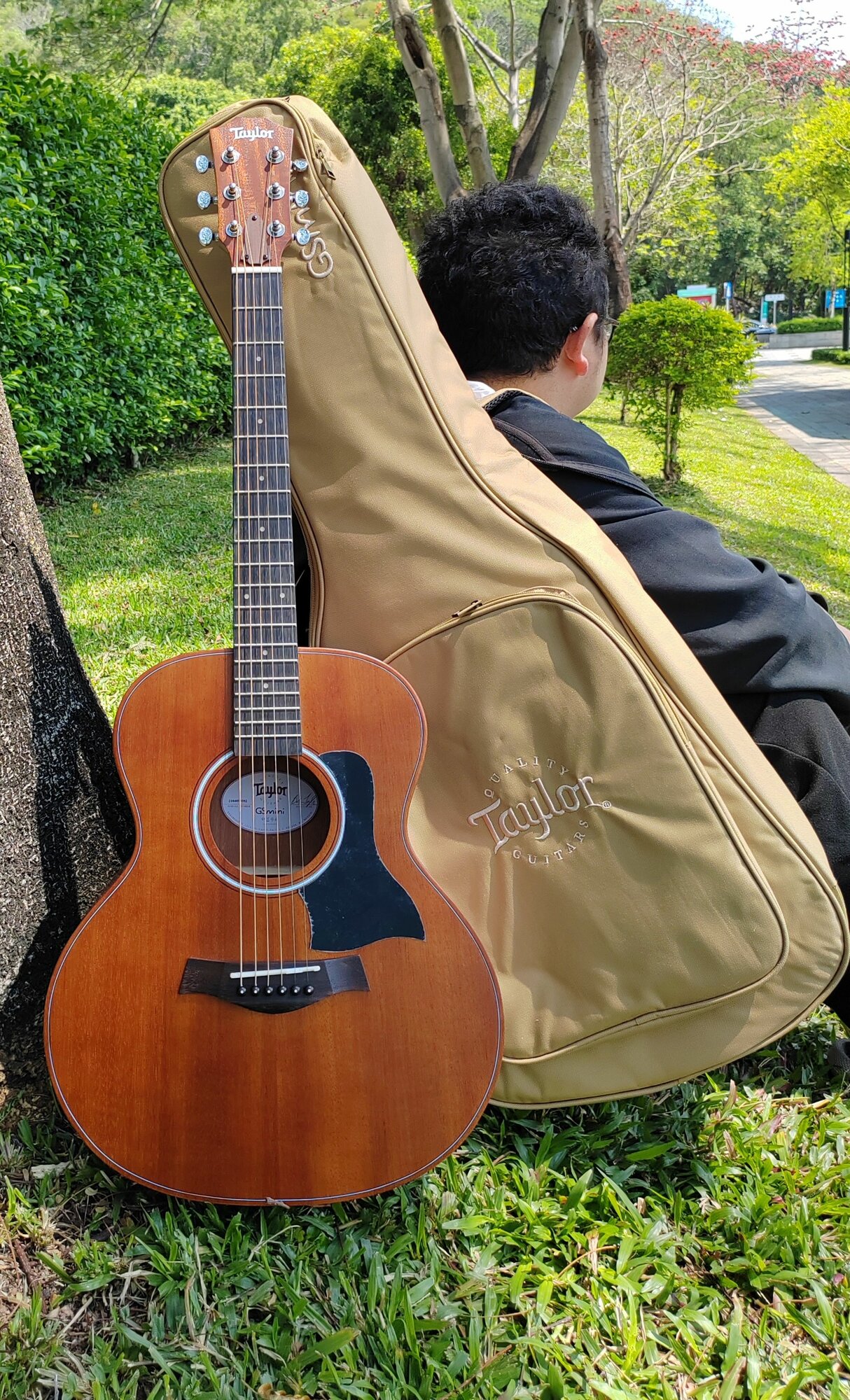 Taylor GS MINI folk GUITAR из материала красного дерева, 36-дюймовая дорожная гитара + сумка для гитары