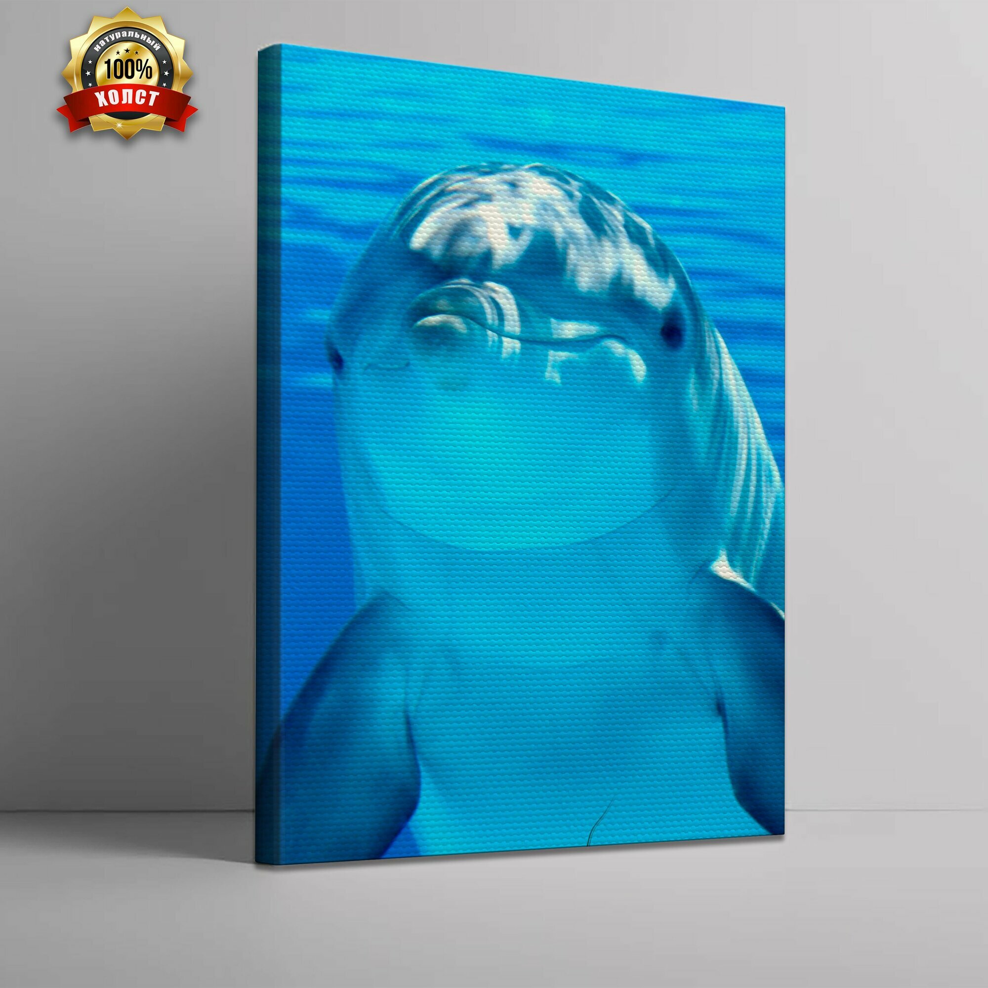 Картина Дельфин 30*40