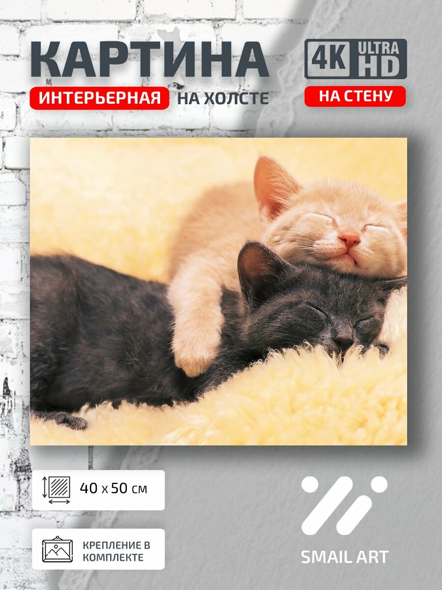 Картина на холсте интерьерная 40 на 50 на стену Шерсть Animal для кафе animal style декор