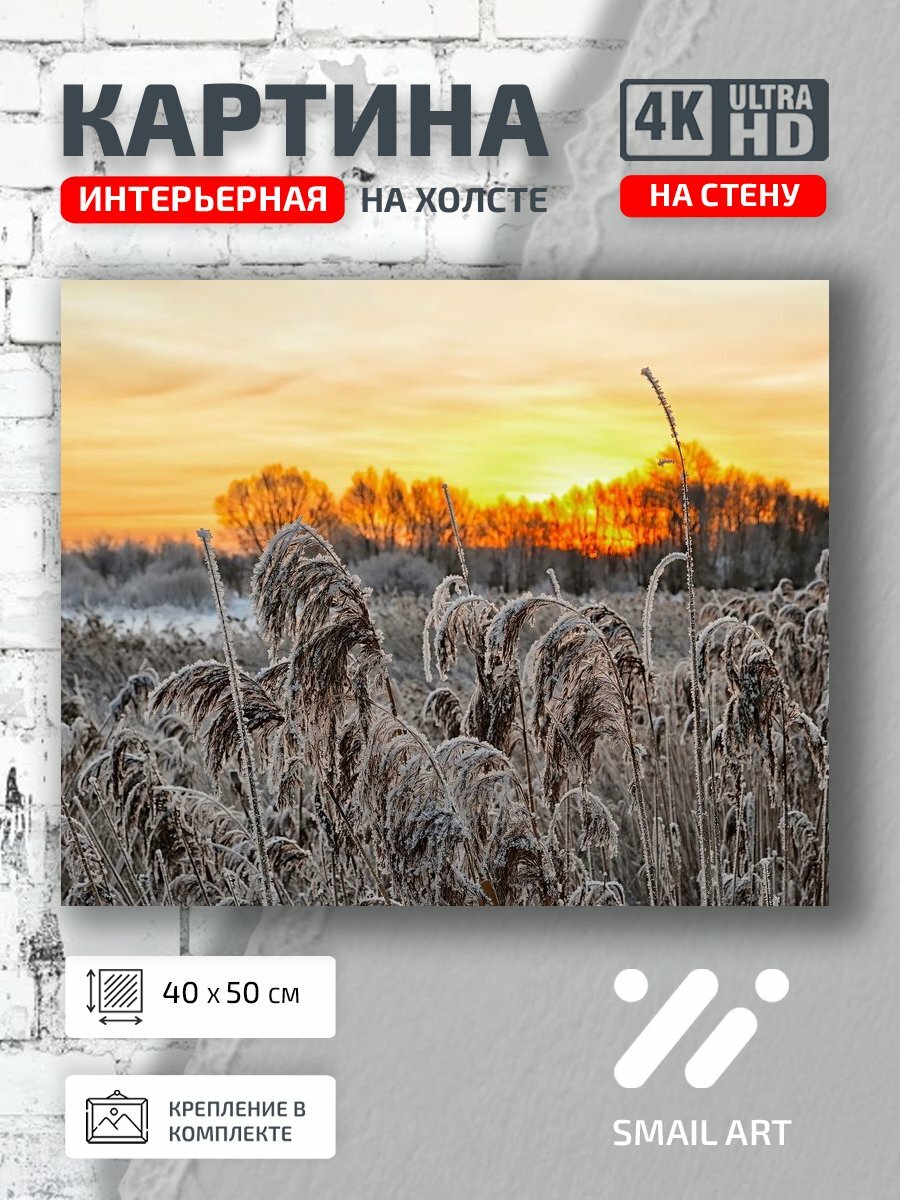 Картина на холсте интерьерная 40 на 50 на стену Рассвет Landscape для кафе пейзаж интерьер