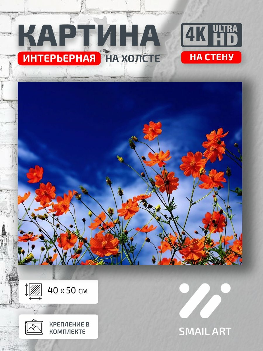 Картина на холсте интерьерная 40 на 50 на стену Небо Landscape для офиса пейзаж интерьер