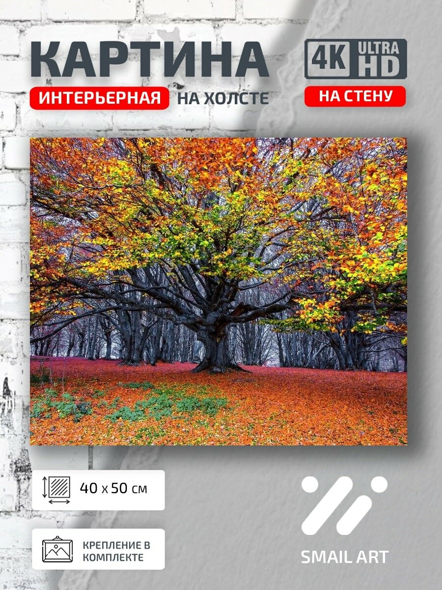 Картина на холсте интерьерная 40 на 50 на стену осень дерево для спальни пейзаж