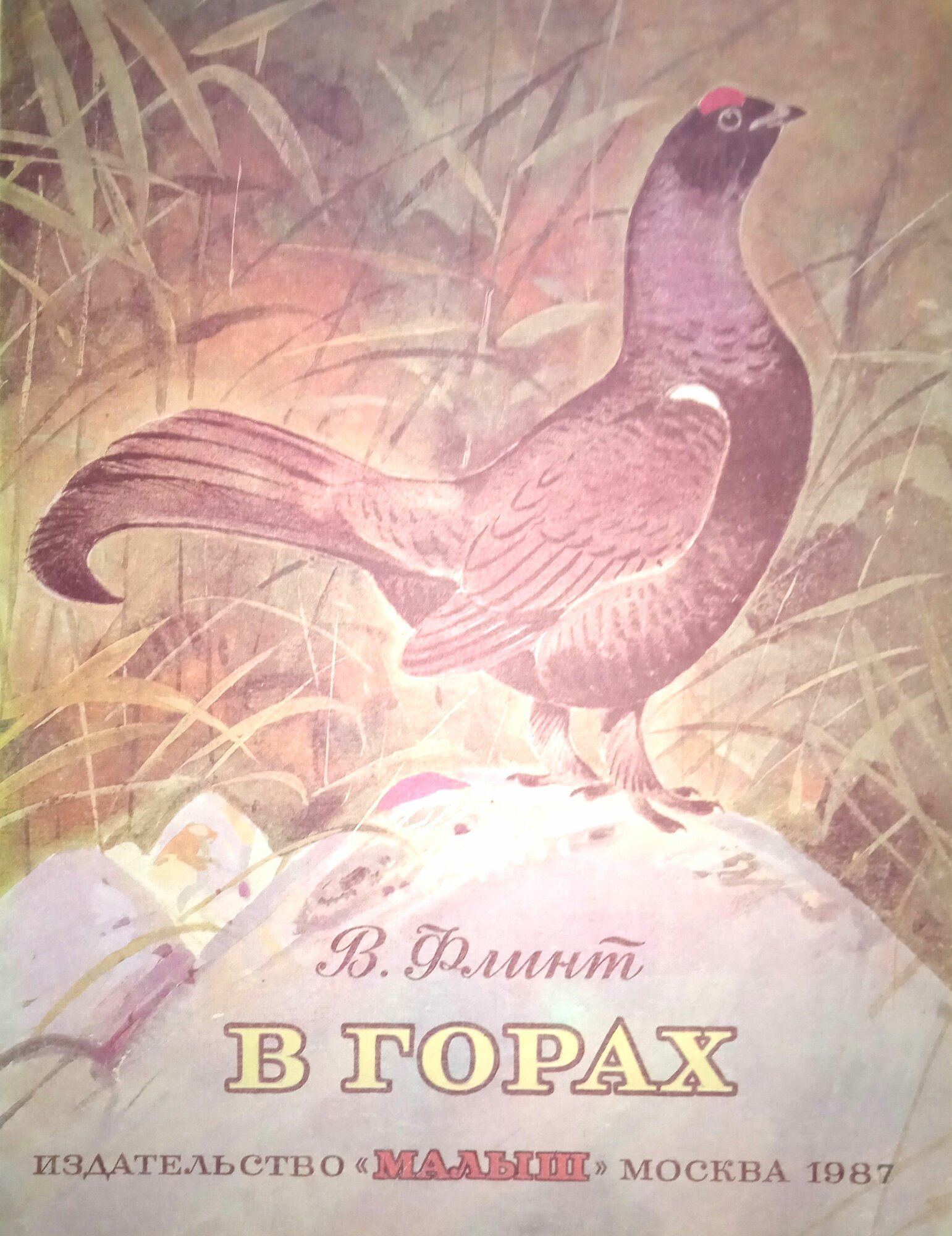 В горах. Альбом для раскрашивания. 1987 год