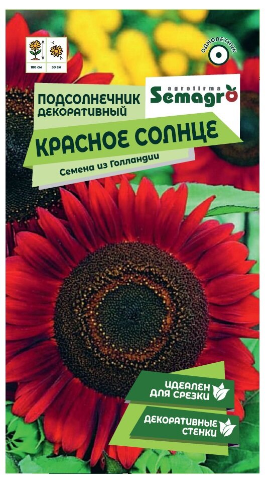 Семена цветов подсолнечник Красное солнце, для дачи, сада, огорода и на рассаду