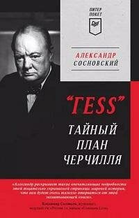 Книга «ГЕSS» Тайный план Черчилля"