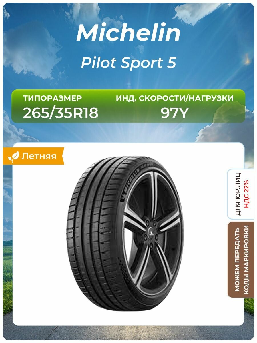 Шина Michelin Pilot Sport 5