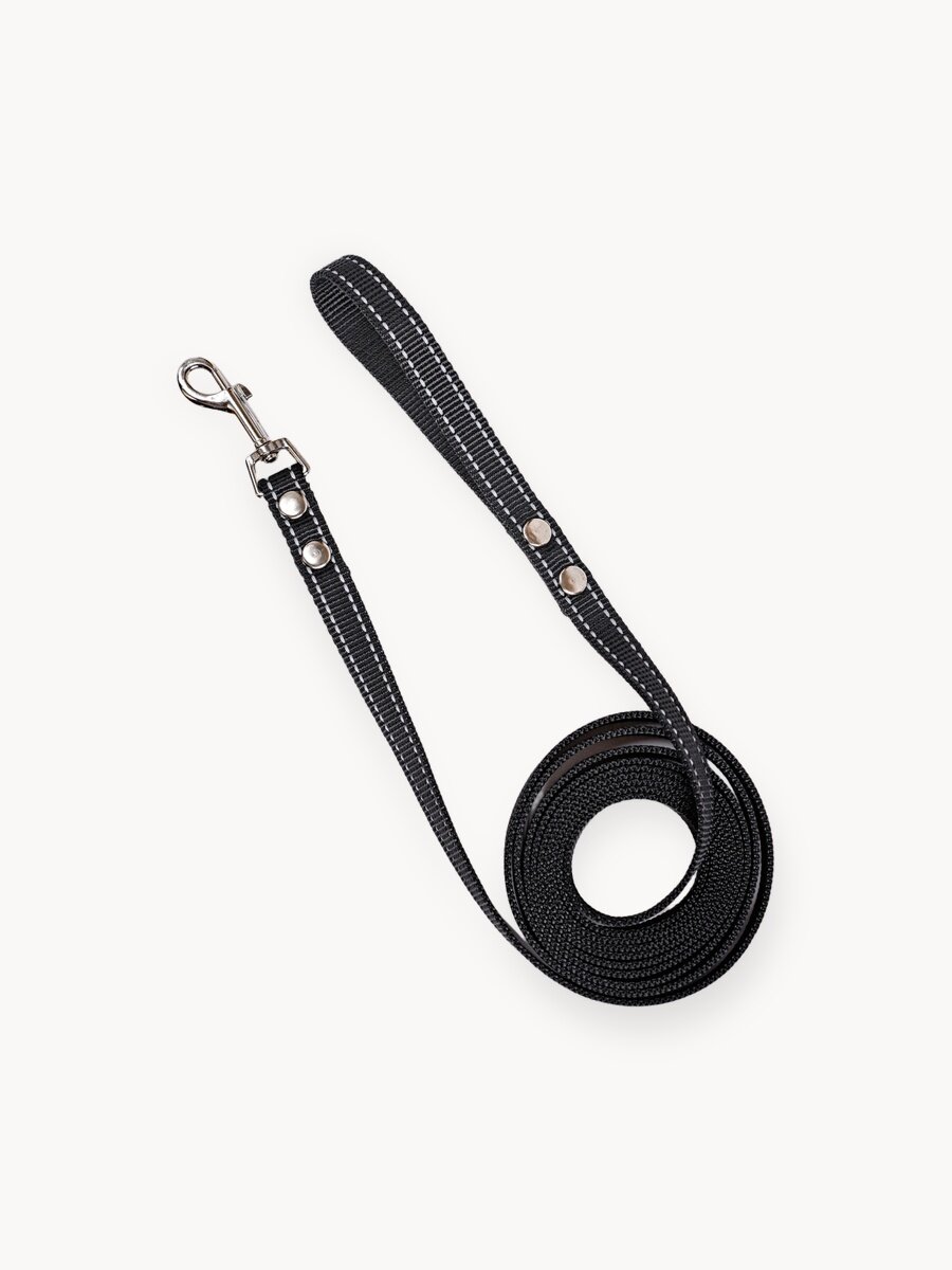 Поводок светоотражающий нейлоновый 5 метров 20мм для мелких и средних собак