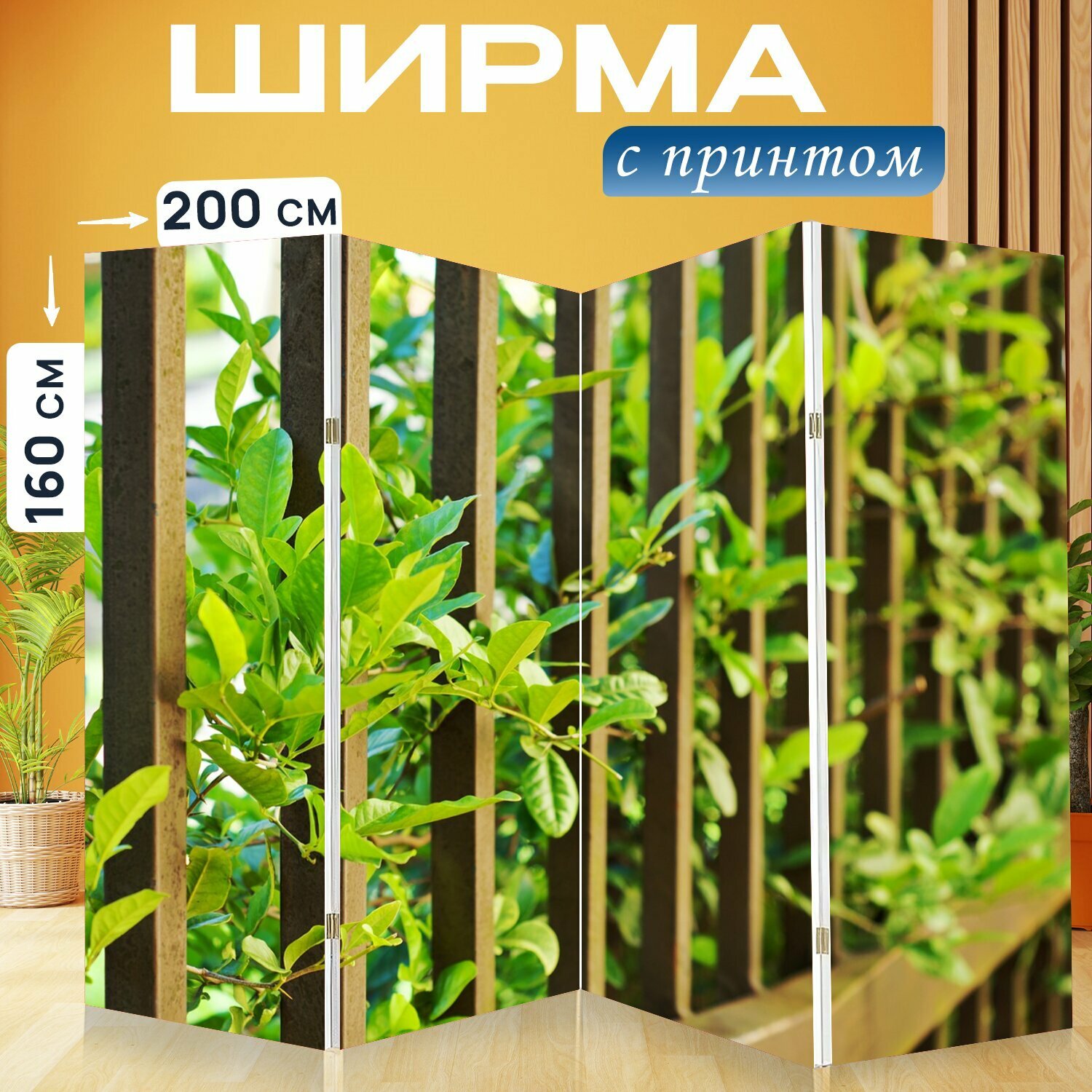 Ширма "Листы, бары, город" раскладная перегородка для зонирования с принтом на холсте