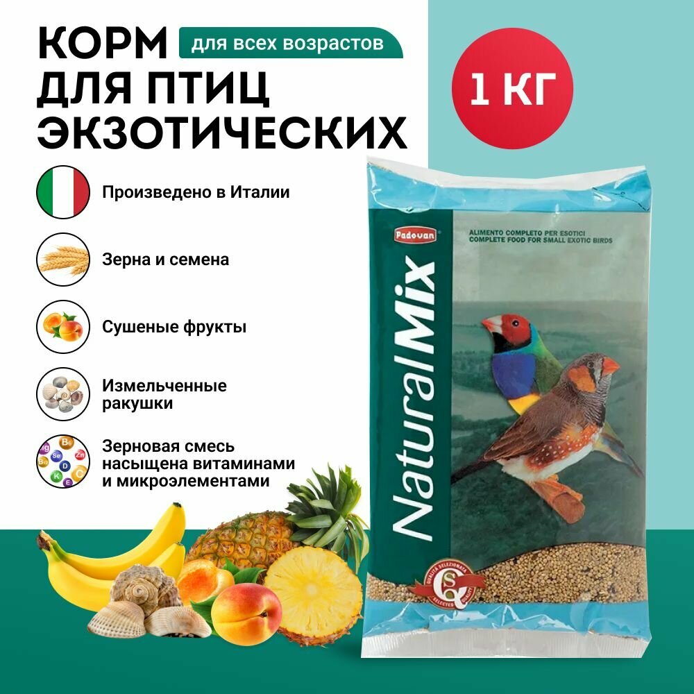 Padovan Корм для экзотических птиц Натуралмикс 1кг