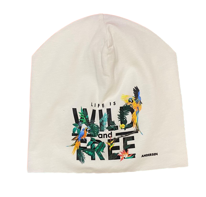 Шапка для мальчиков