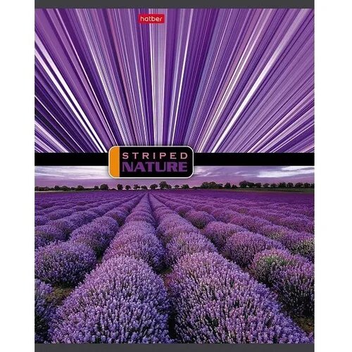 Hatber набор тетрадей 96л А5 в линию, на скобе, серия Полосатый мир 4шт