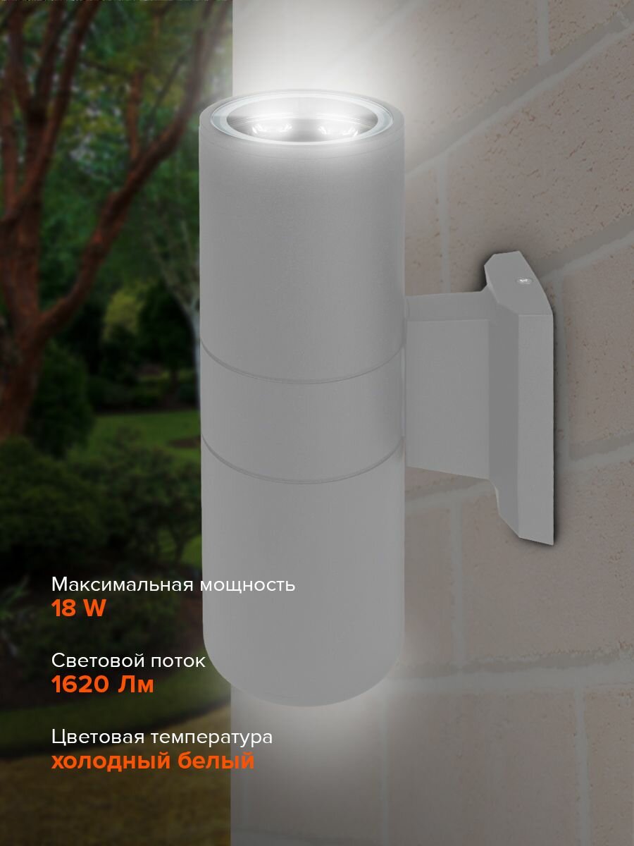 Светильник светодиодный уличный / интерьерный/ фасадный Jazzway PWL-300110/30D 2x9w 6500K GR IP65