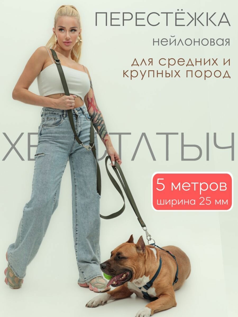 Перестежка Хвостатыч для собак PRO прошитая нейлон 5 м х 25 мм (зеленый)